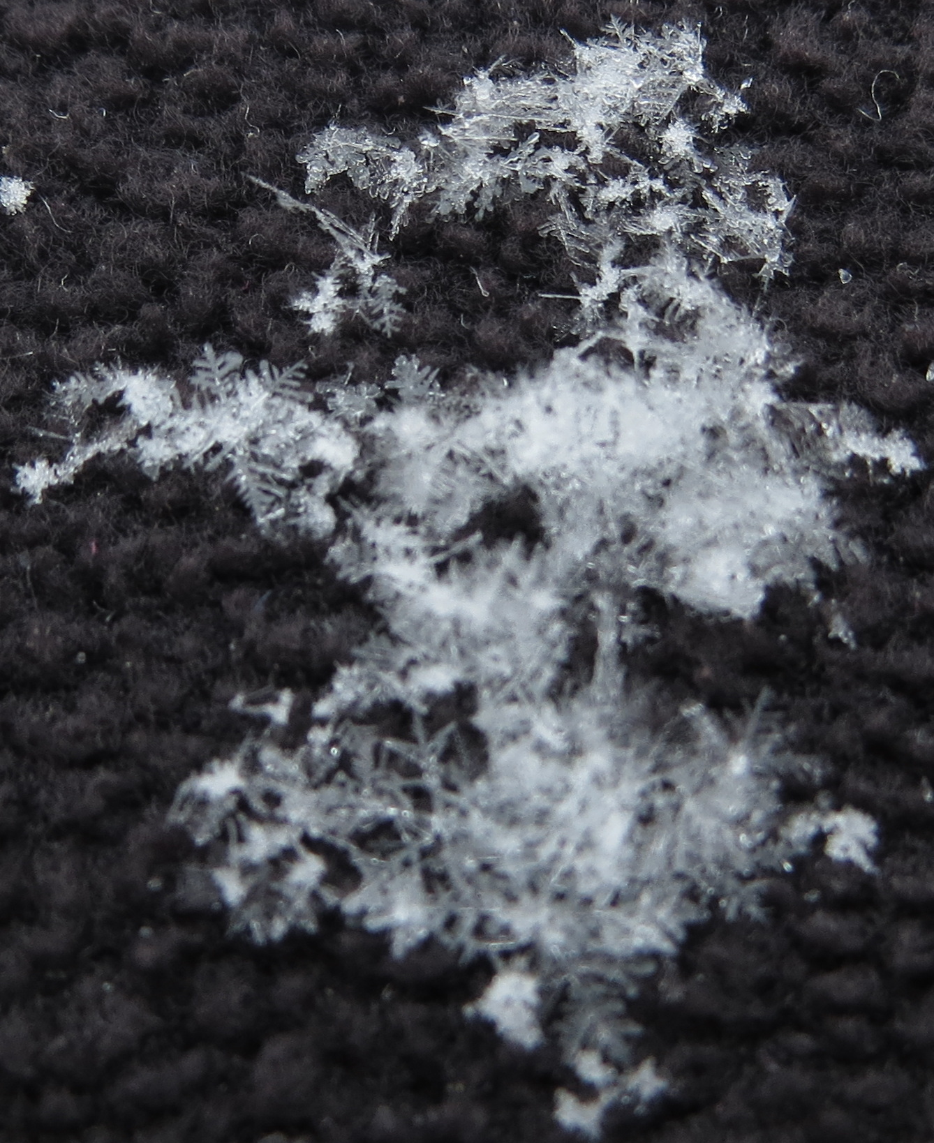 Snow Flakes and Crystals from 28 Feb 2015 in Reno