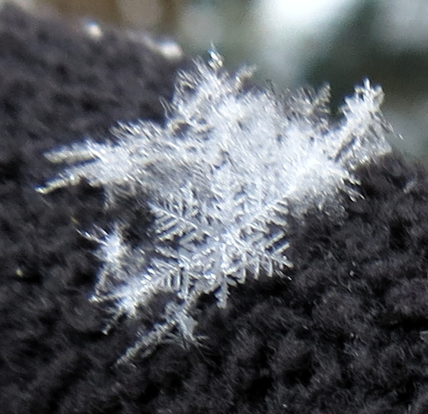 Snow Flakes and Crystals from 28 Feb 2015 in Reno