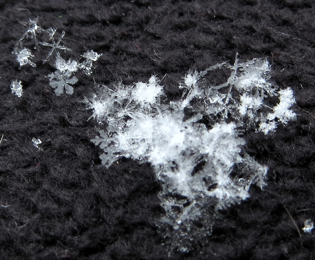 Snow Flakes and Crystals from 28 Feb 2015 in Reno